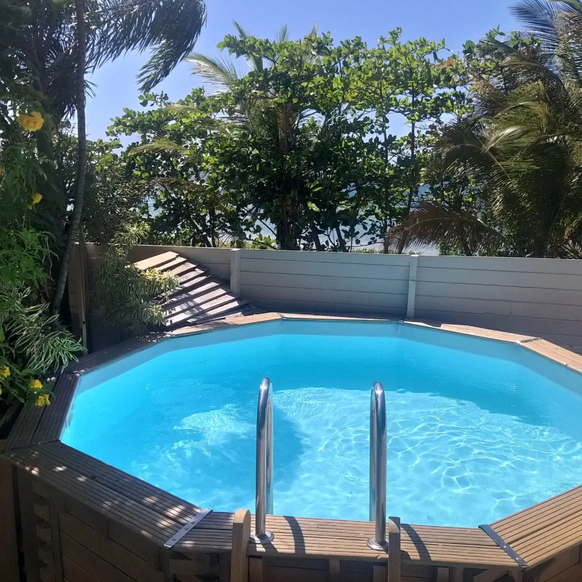 Studio Tortue Luth | Katalo Plage