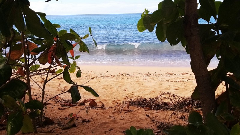 Duplex Tortue Kawane | Katalo Plage